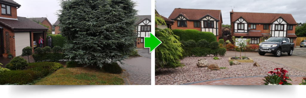 Before and After Garden Transformations | MDK Garden Services